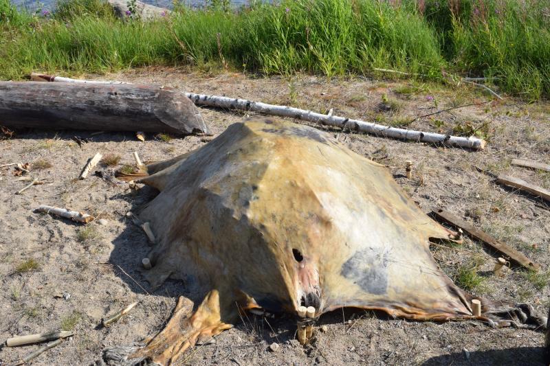A very Finnish coracle | The Coracle Society